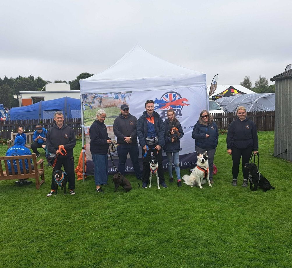 Home page - Northern Bytes Flyball Team